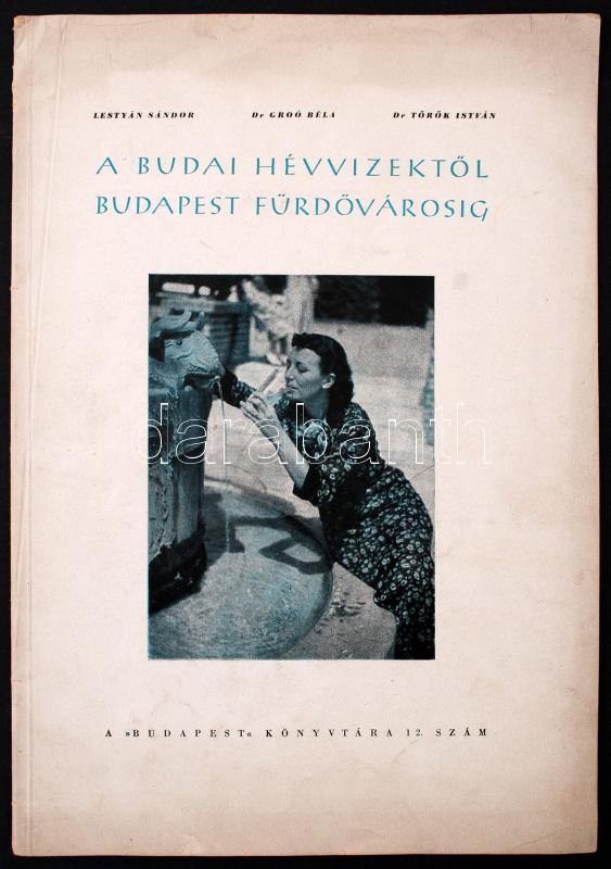 Lestyán Sándor-Dr.Groó Béla-Dr.Török István: A budai hévvizektől ...