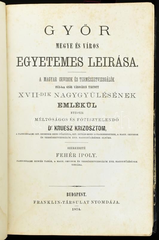 Győr megye és város egyetemes leírása. A Magyar Orvosok és Természetvizsgálók 1874-ben Győr ...