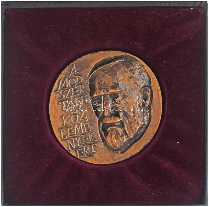 DN "Juhász Gyula - A módszertani közleményekért" | Darabanth Kft.